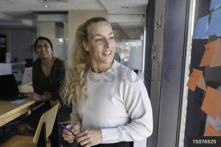 Woman Giving Presentation at Work by Keith Molloy - Truestock