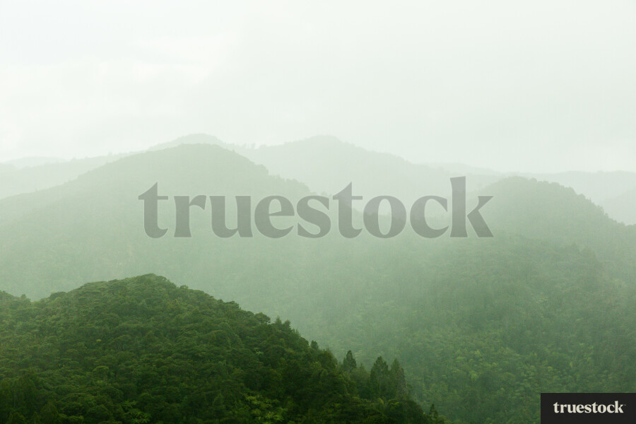 Auckland Hill Landscape with Fog by David Marano - Truestock