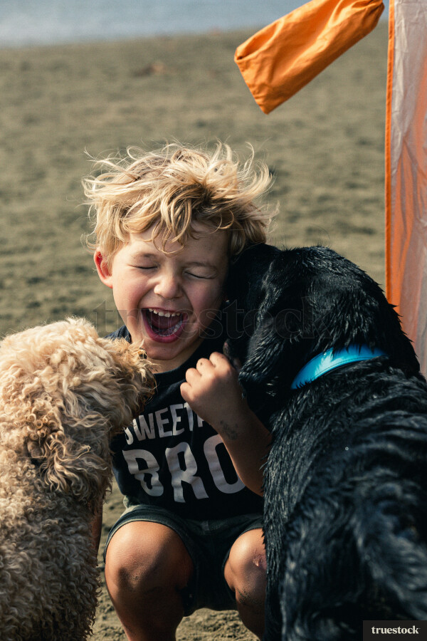 Boy Playing with Dogs on the Beach by David Marano - Truestock