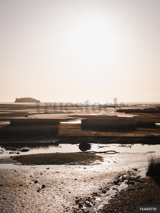 Wetlands landscape by Danny Rood - Truestock