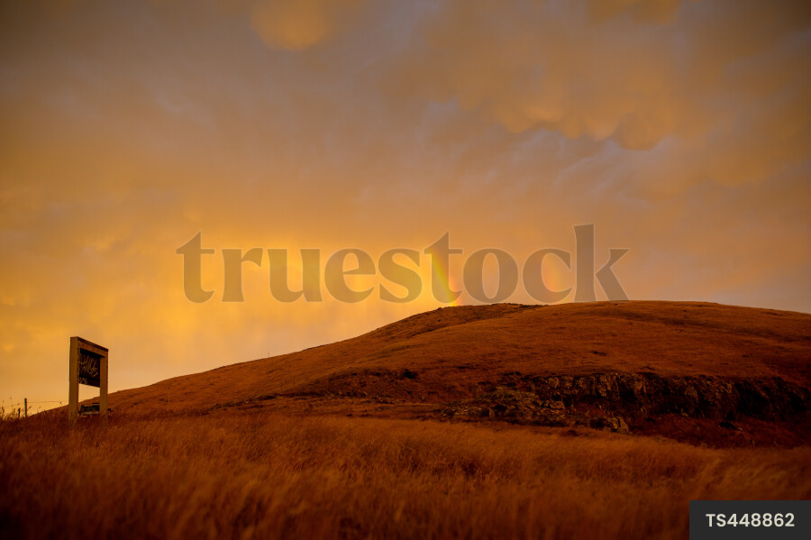 Christchurch Grassland by James Stonley - Truestock