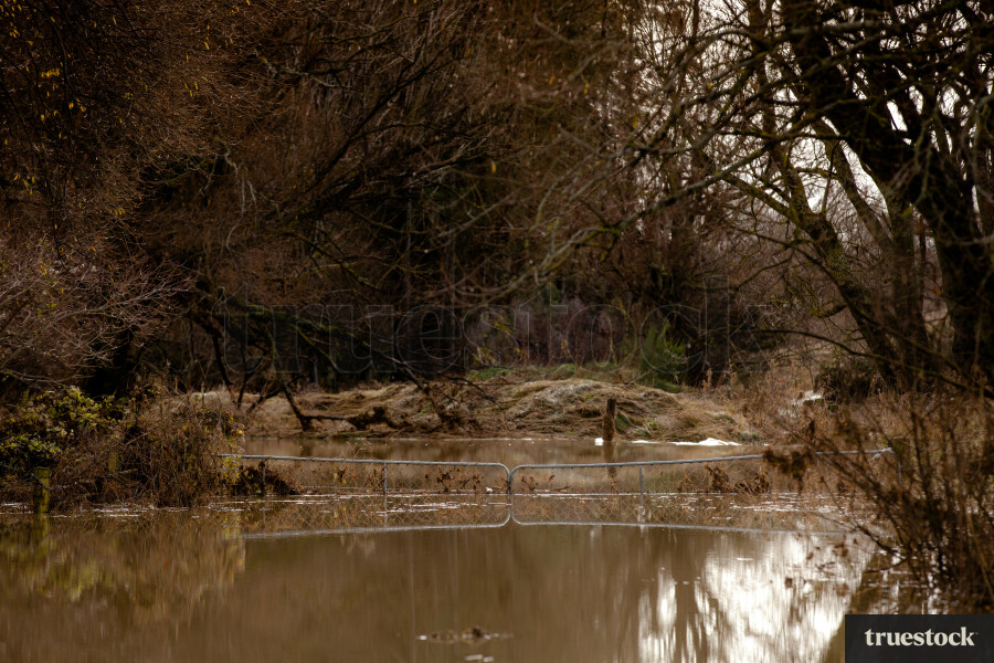 Rising river water and debris from flooding by Kathryn Taylor - Truestock