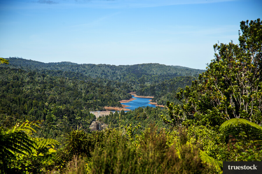 Waitakere Ranges and Dam by Salena Stinchcombe - Truestock