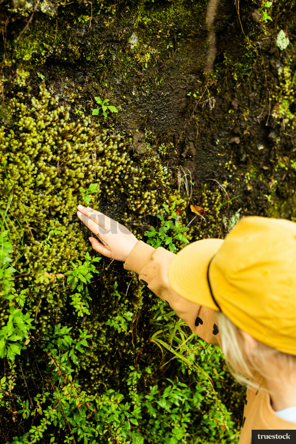 Young Girl Touching Leaves by David Marano - Truestock