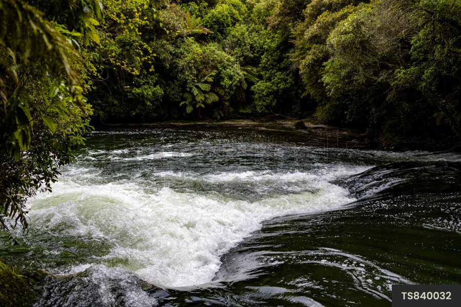 Scenic landscape of flowing river by trees by Rod Hill - Truestock