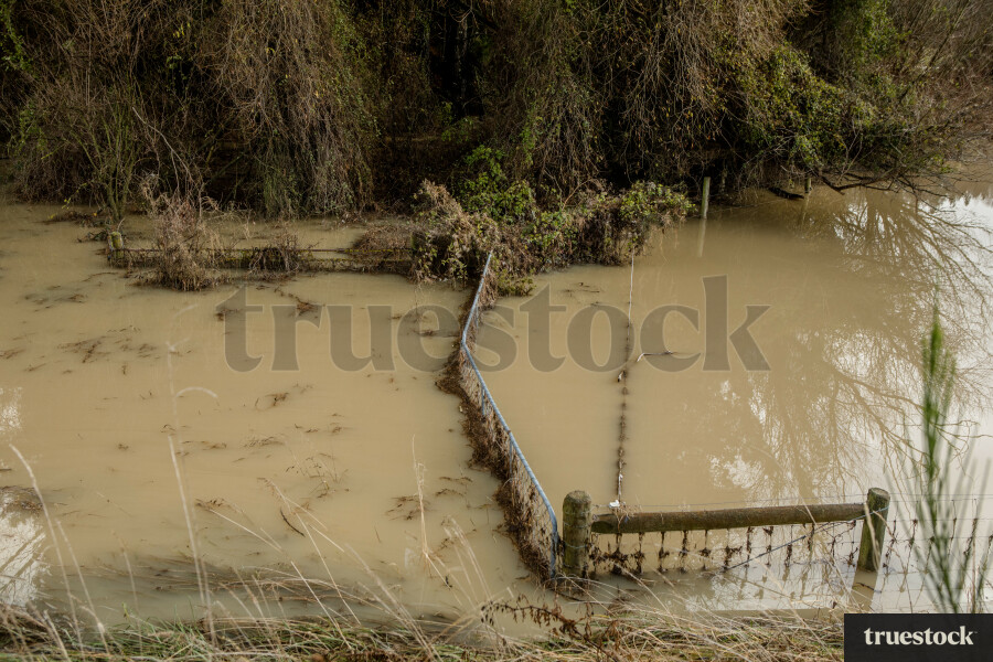 Rising river water and debris from flooding by Kathryn Taylor - Truestock