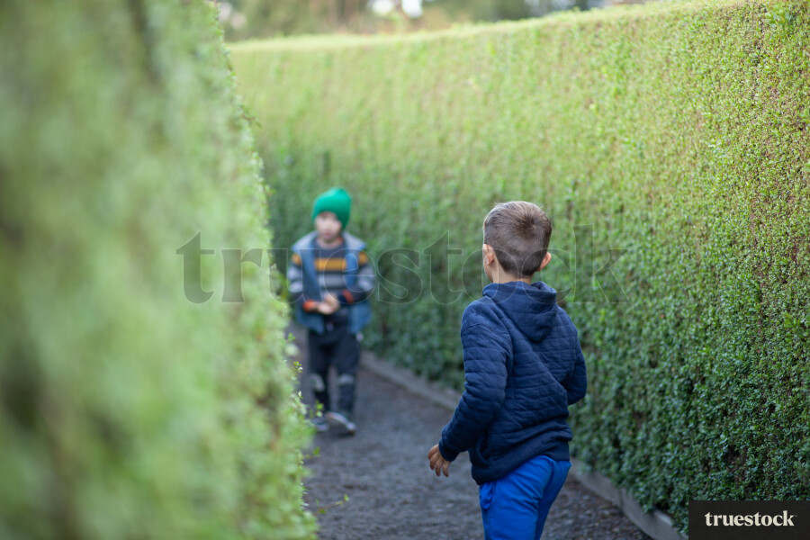 Children walking down pathway through hedges by Fraser Tebbutt - Truestock